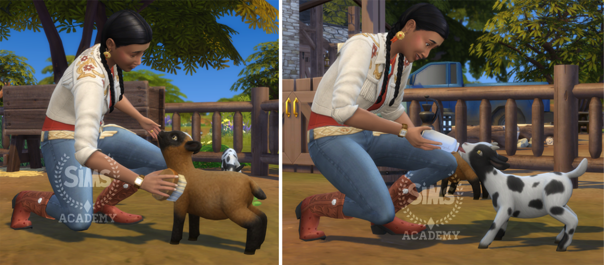 The G.O.A.T.est Guide for Mini Goats & Sheep in The Sims 4 - Sims Academy
