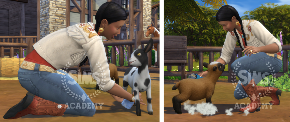 The G.O.A.T.est Guide for Mini Goats & Sheep in The Sims 4 - Sims Academy